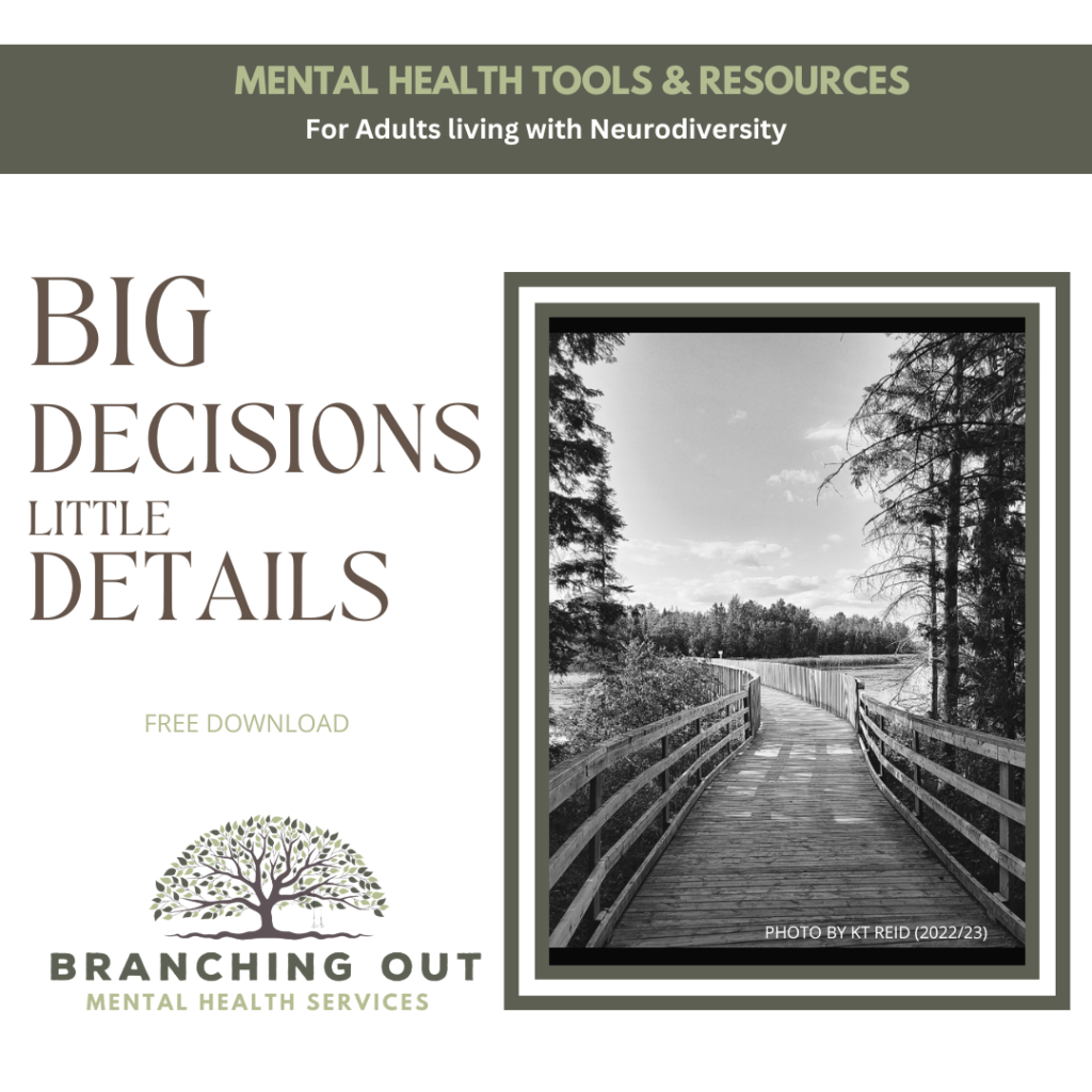 Mental Health Resource - Big Decisions Little Details - B.O.S.S.